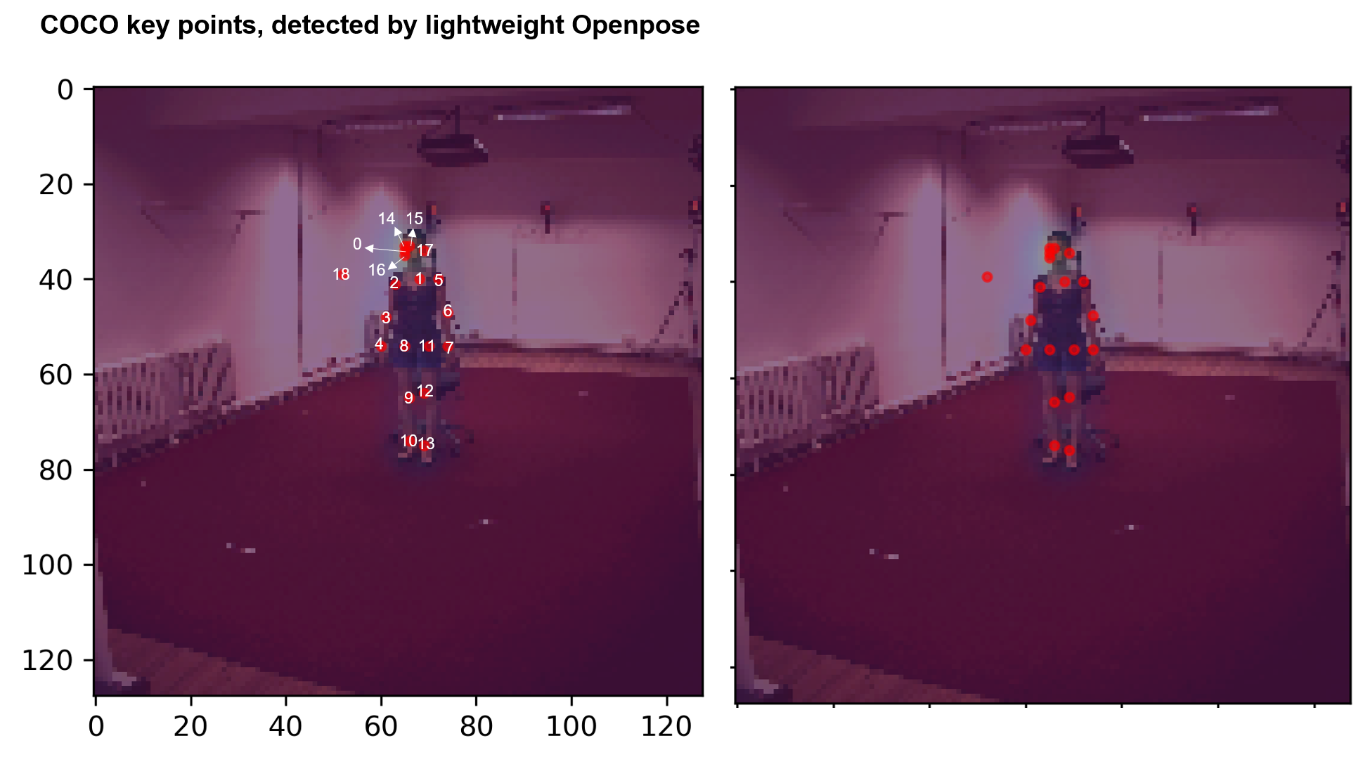 2D人体姿态识别-Human3.6M与COCO数据集中，各人体骨骼关键点可视化及对应关节标注顺序（heatmap可视化，热力图和原图融合显示)-CSDN博客
