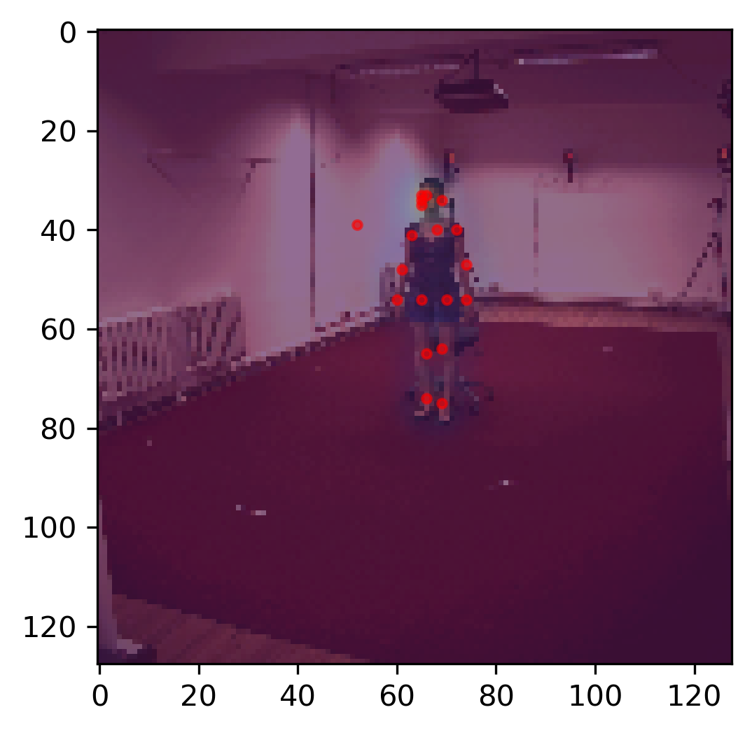 2D人体姿态识别-Human3.6M与COCO数据集中，各人体骨骼关键点可视化及对应关节标注顺序（heatmap可视化，热力图和原图融合显示)-CSDN博客