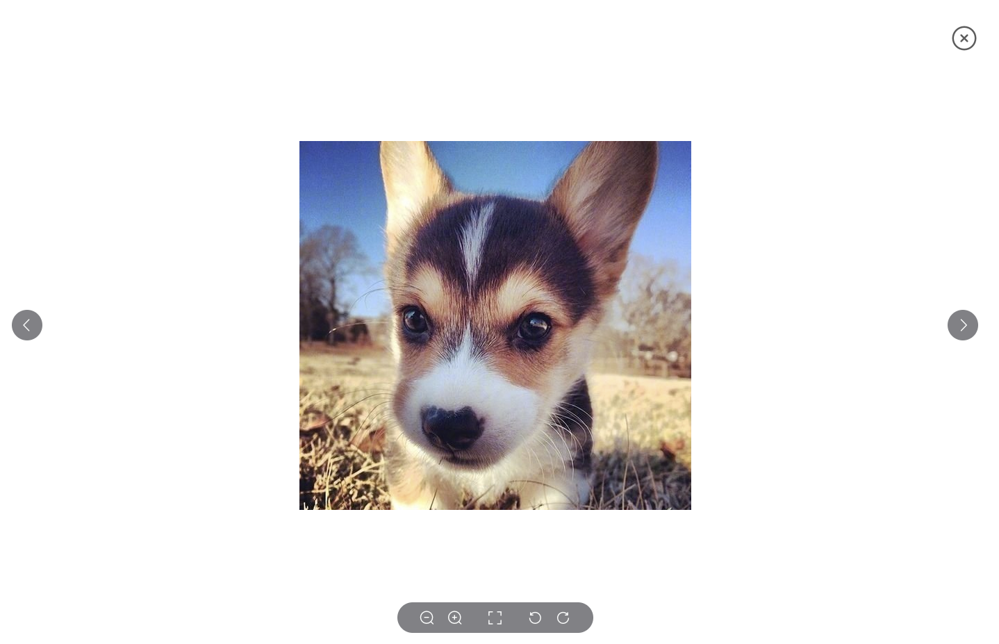 Element image图片组件 el-image-viewer、不循环_el-image :preview-src-list 不循环预览-CSDN博客