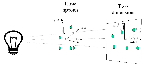 PCA和PCOA_pcoa分析-CSDN博客