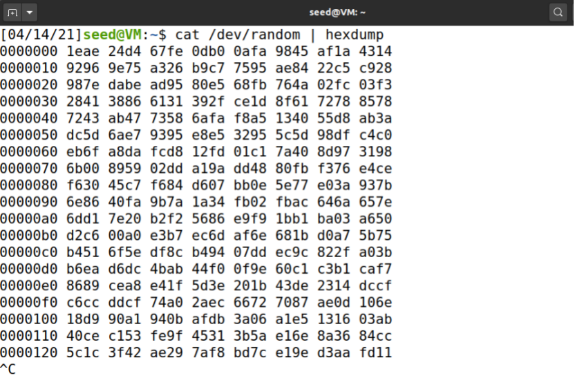 SEEDLAB2.0-Pseudo Random Number Generation Lab_seed lab实验2.0主要实验-CSDN博客