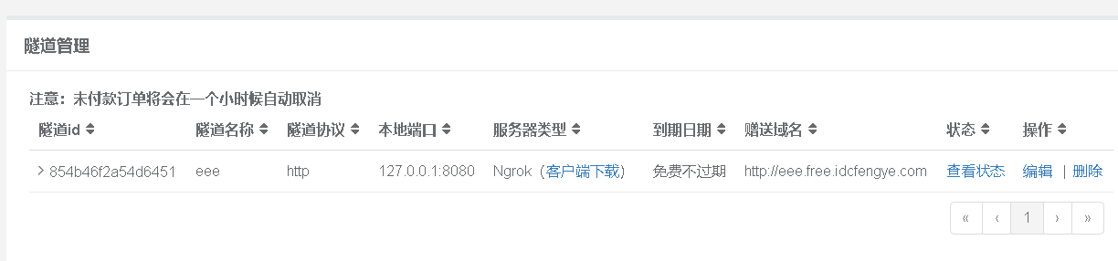 ngrok内网穿透【原理+使用教程】-CSDN博客