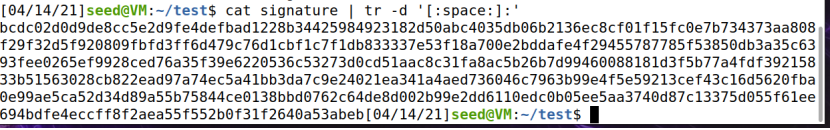 SEEDLAB2.0-RSA Encryption and Signature Lab_seed labs – rsa public-key encryption and signatur ...