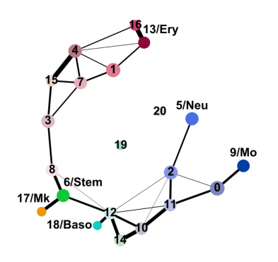 Something about PAGA_paga 结果解读-CSDN博客