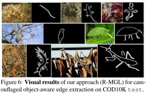 Mutual Graph Learning for Camouflaged Object Detection阅读笔记-CSDN博客