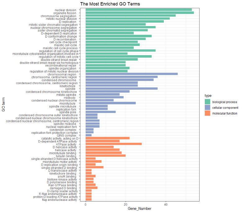 R语言：GO富集和KEGG富集、可视化教程，附代码_kegg富集分析代码-CSDN博客