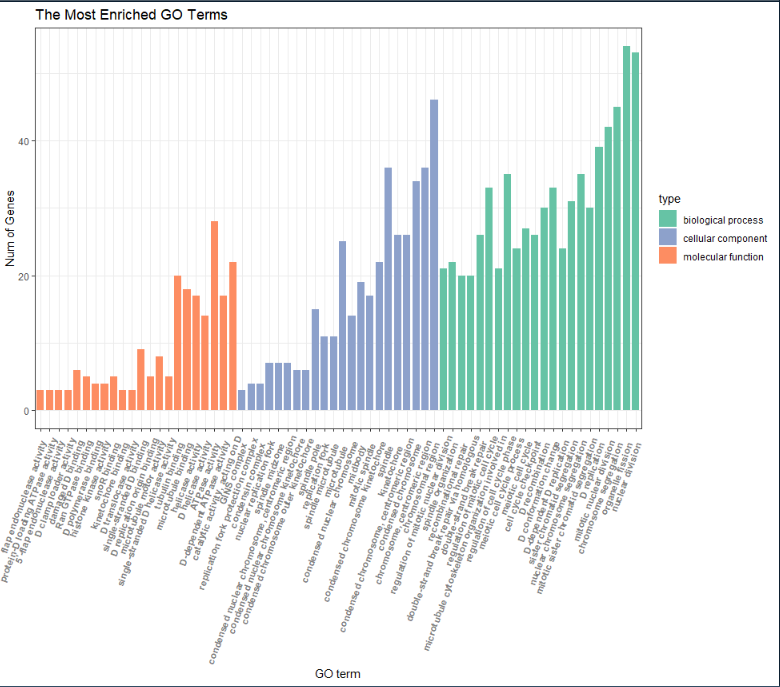 R语言：GO富集和KEGG富集、可视化教程，附代码_kegg富集分析代码-CSDN博客