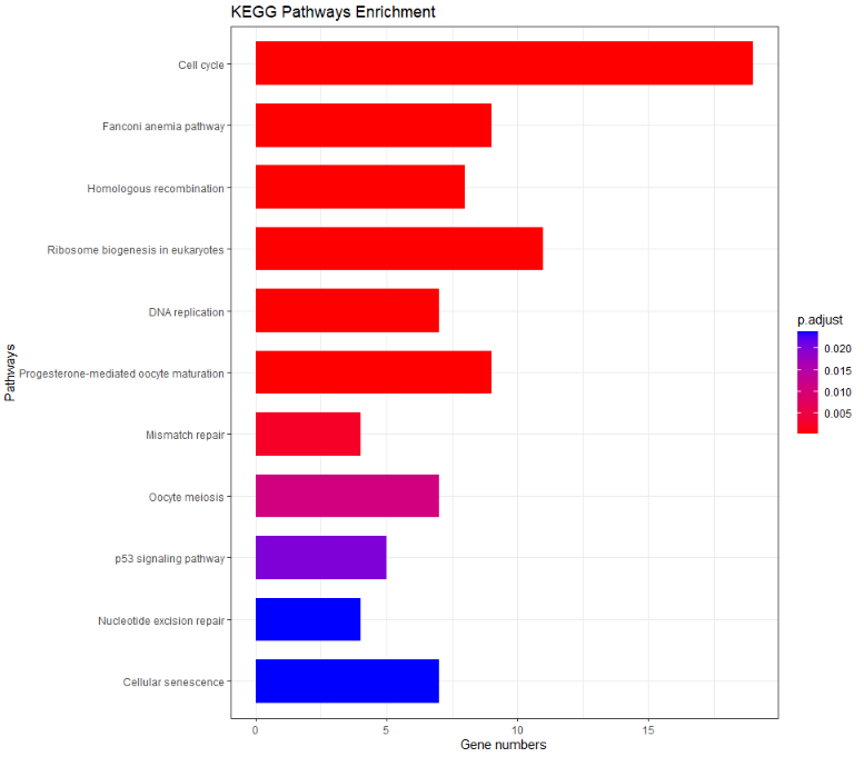 R language: Go enrichment and kegg enrichment, visualization tutorial ...