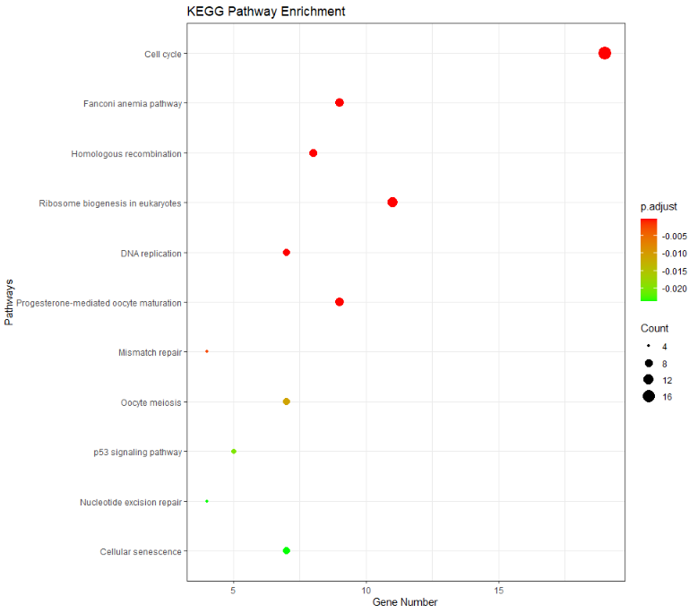 R语言：GO富集和KEGG富集、可视化教程，附代码_kegg富集分析代码-CSDN博客