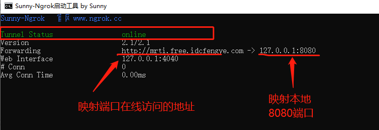 Ngrok内网穿透实现端口的映射 在线访问项目教程_一看即会_ng url映射本地端口-CSDN博客