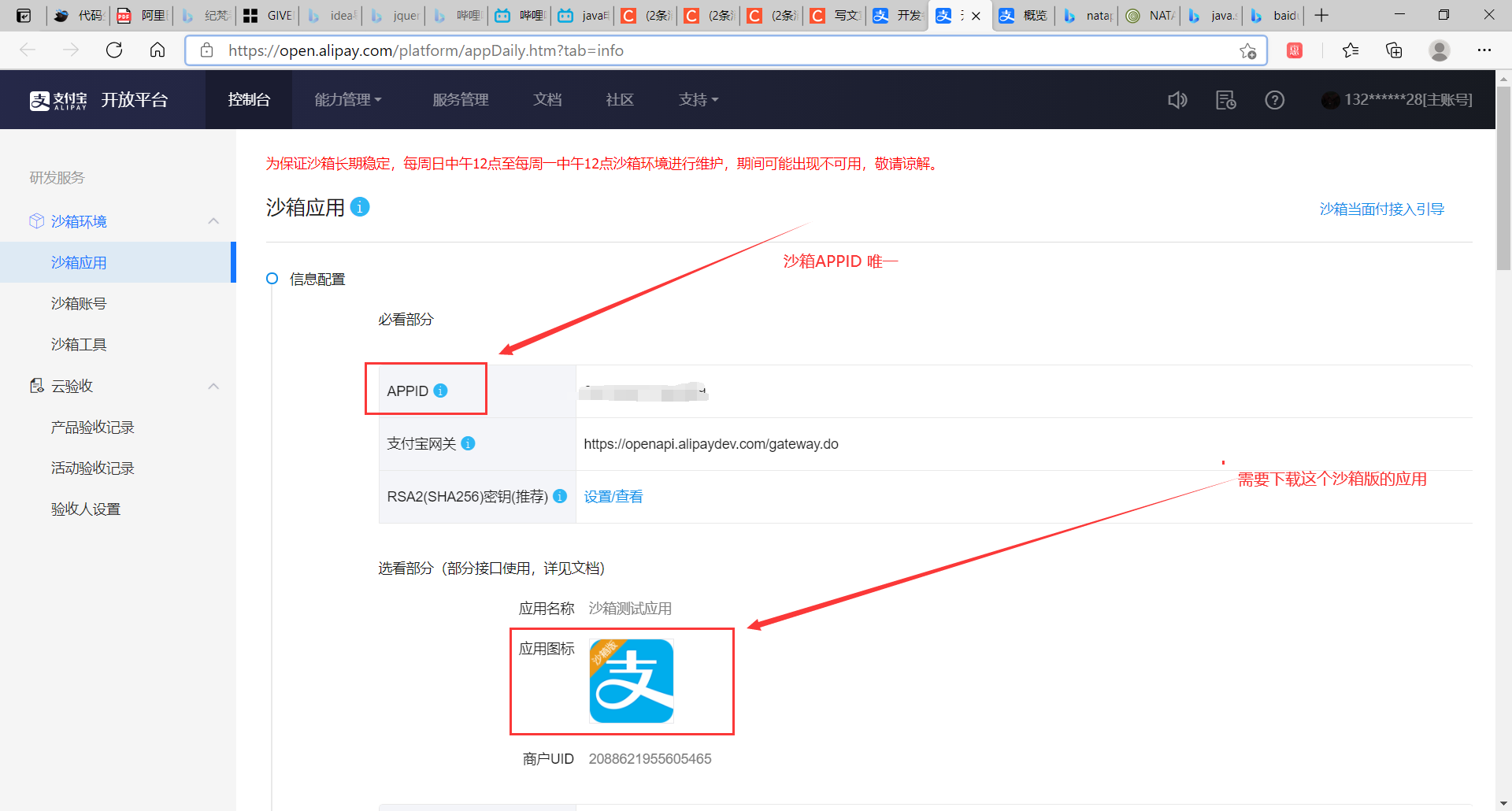 支付宝沙箱支付的详细过程 Csdn博客