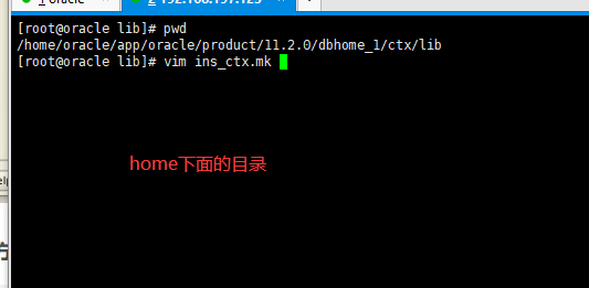 Linux下安装oracle 11G 无坑版本！_oracle11 linux安装包-CSDN博客