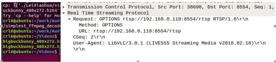 C++实现RTSP/RTP服务器_c++ rtsp-CSDN博客