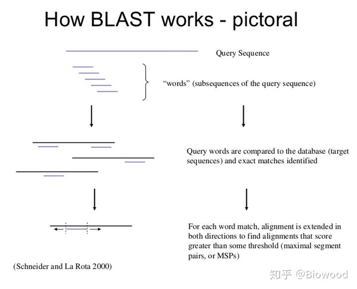 北京大学生物信息学 (4)序列数据库_blast算法提升搜索速度的原理。-CSDN博客