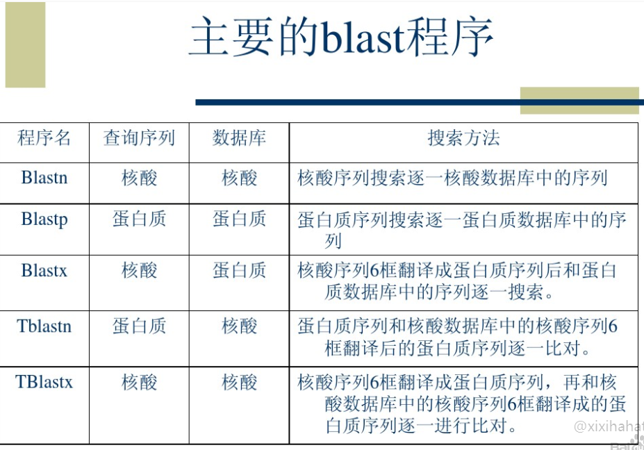 北京大学生物信息学 (4)序列数据库_blast算法提升搜索速度的原理。-CSDN博客