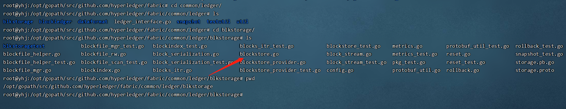 联盟链 fabric 数据库 数据存储_fabric-sdk-py存储数据-CSDN博客
