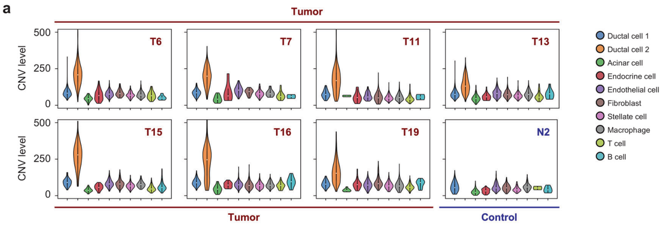 单细胞分析实录(12): 如何推断肿瘤细胞_infercnv推测恶性细胞-CSDN博客