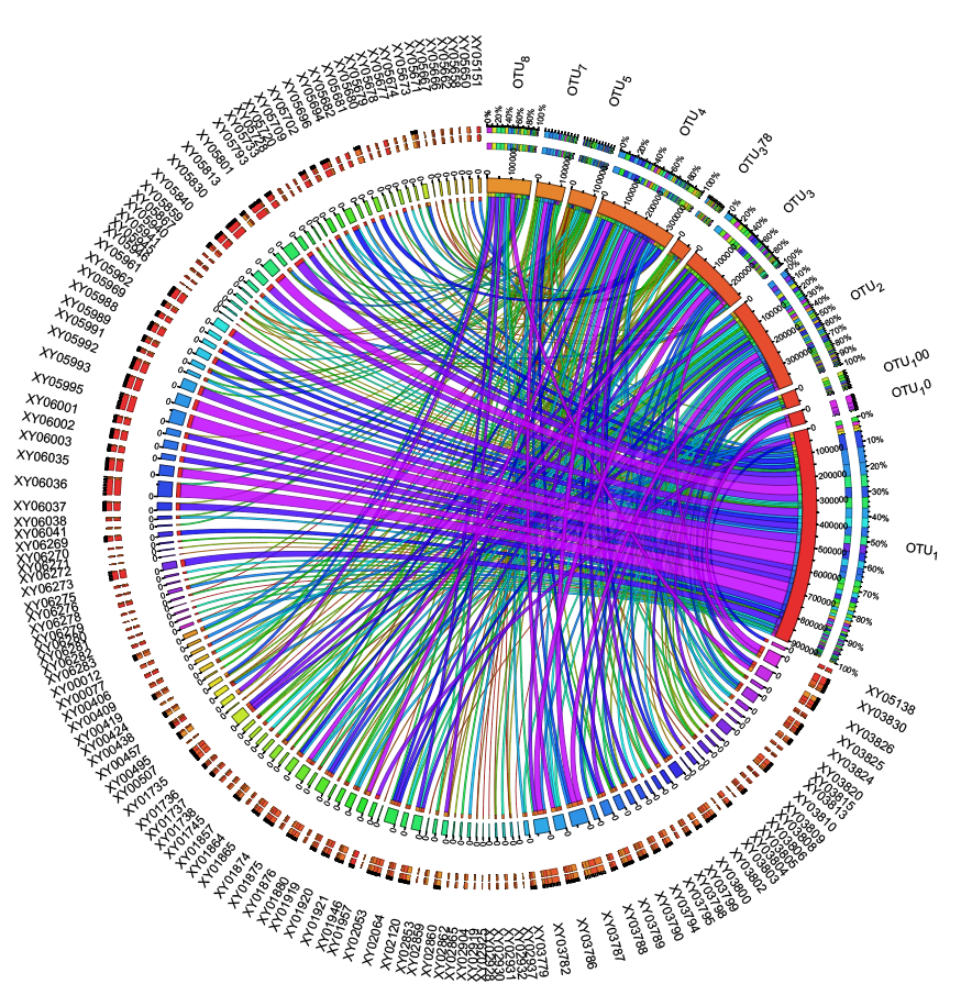 借助工具绘制完整circos图（三）生成图像与显示不全等问题_r circos.text 跑到图的外边去了-CSDN博客