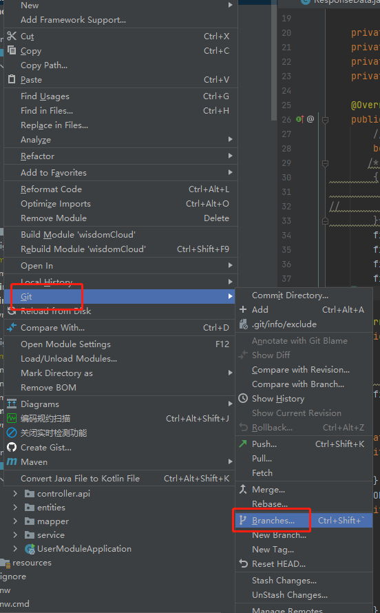 IDEA 中GIT拉取分支提交到分支上_idea拉取一个新的分支-CSDN博客