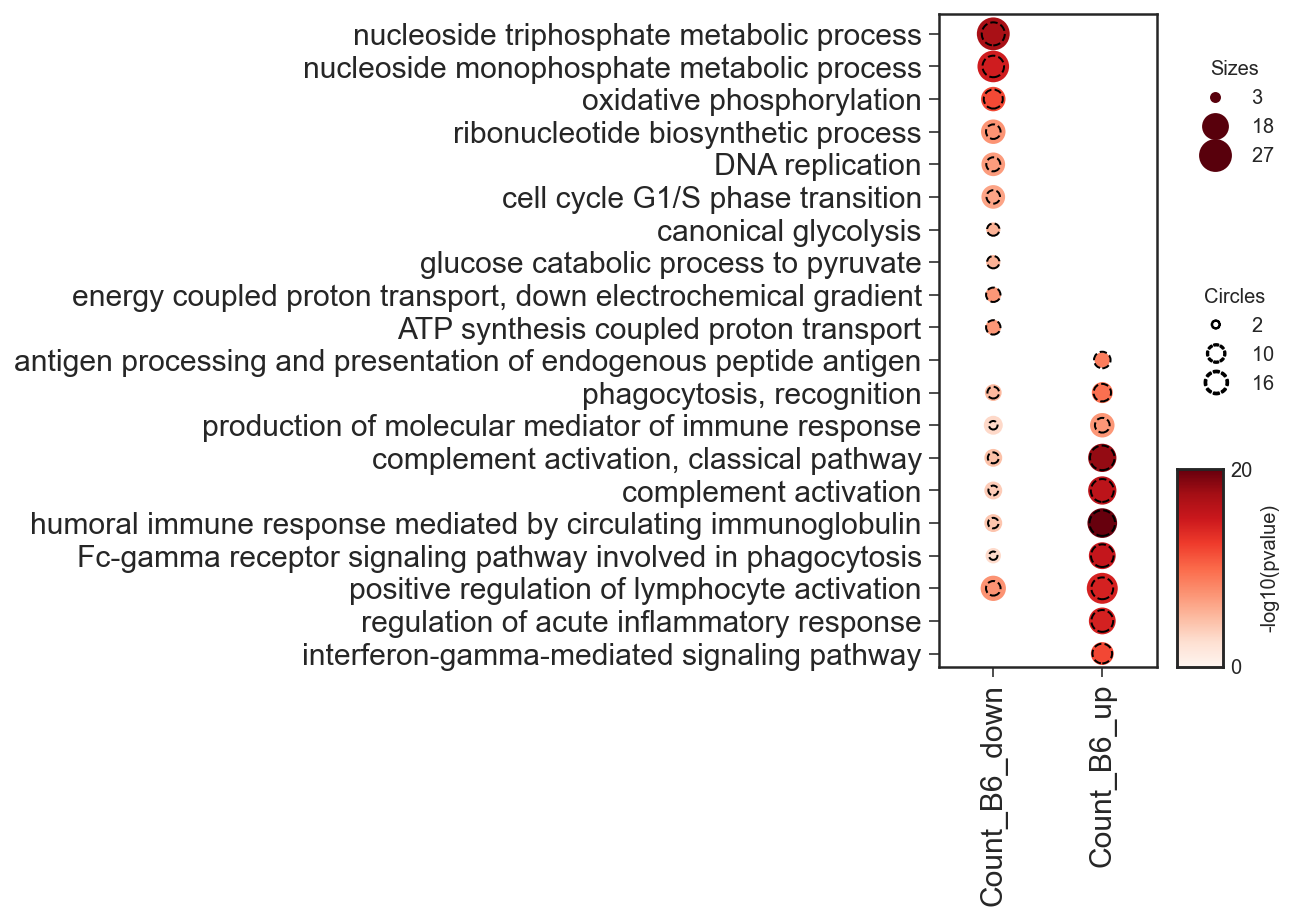 python绘制dotplot_dpplot stata-CSDN博客
