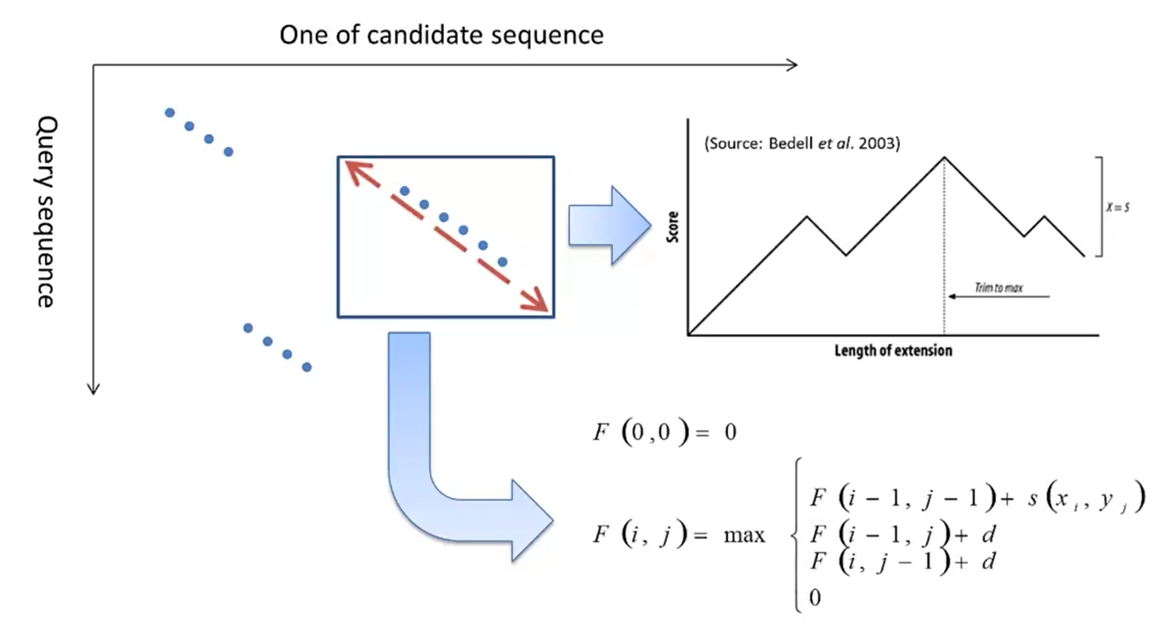 北京大学生物信息学学习(7)NGS 分析_ngs生信分析-CSDN博客