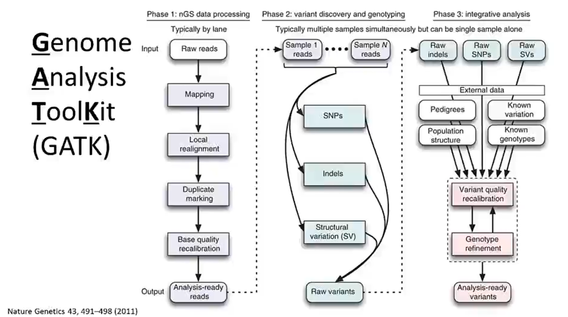 北京大学生物信息学学习(7)NGS 分析_ngs生信分析-CSDN博客