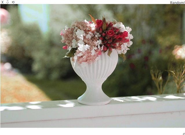 visdom image显示图像（四）-CSDN博客