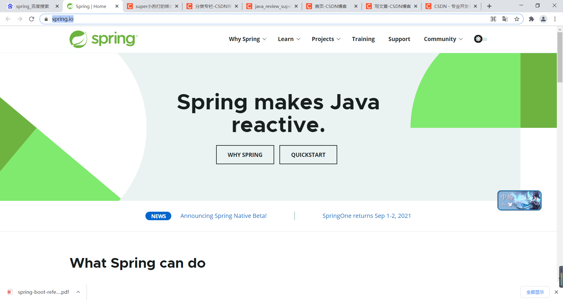 springboot官方文档PDF下载指北_springboot官方中文文档下载-CSDN博客