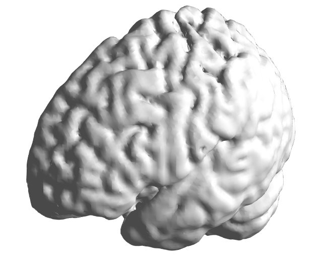 SPM提取大脑surface_脑表面提取器代码-CSDN博客