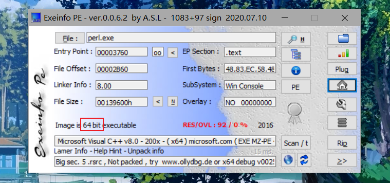 [WMCTF2020]easy_re_please input the flag: ctf-CSDN博客
