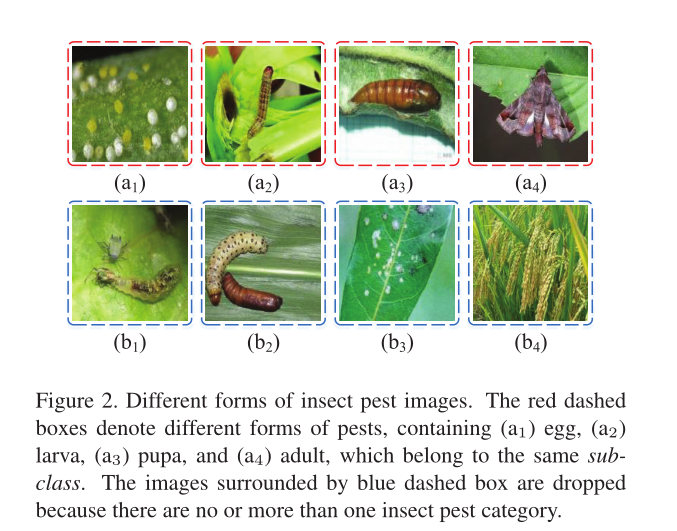 Ip102: a large-scale bench-mark dataset for insect pest recognition.-CSDN博客