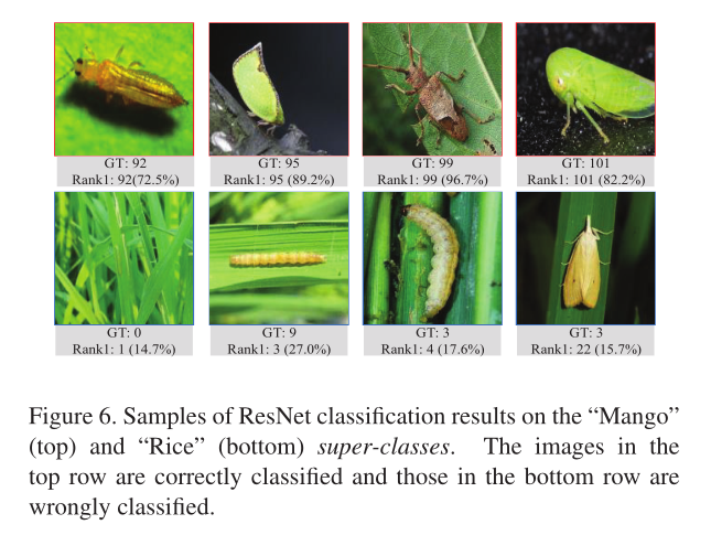 Ip102: a large-scale bench-mark dataset for insect pest recognition.-CSDN博客
