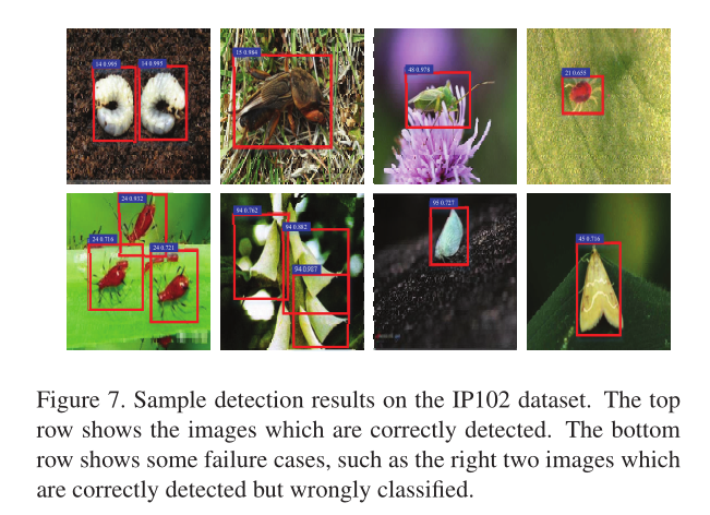 Ip102: a large-scale bench-mark dataset for insect pest recognition.-CSDN博客