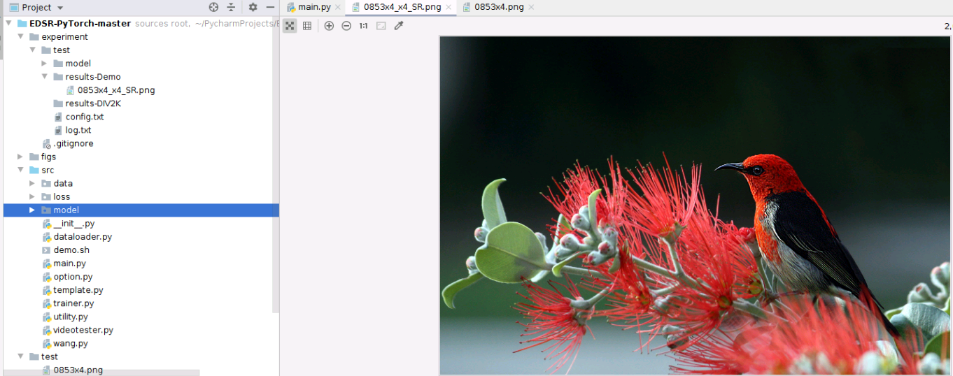 基于pytorch的EDSR代码复现_literacy_wang的博客-CSDN博客
