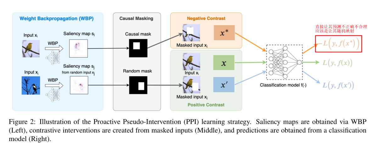 Proactive Pseudo-Intervention——因果推断与对比学习结合，用于寻找因果特征_proactive pseudo-intervention: causally ...