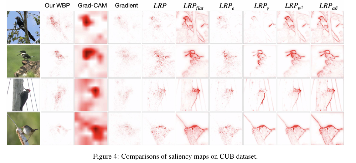 Proactive Pseudo-Intervention——因果推断与对比学习结合，用于寻找因果特征_proactive pseudo-intervention: causally ...