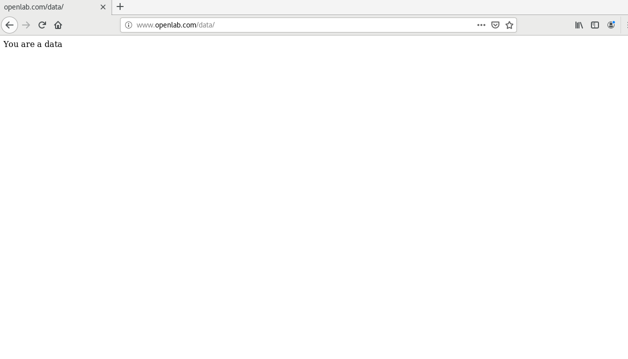 给openlab搭建web网站-CSDN博客