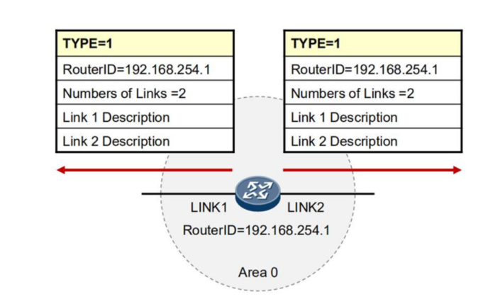 OSPF六类LSA及标准区域_6类lsa-CSDN博客