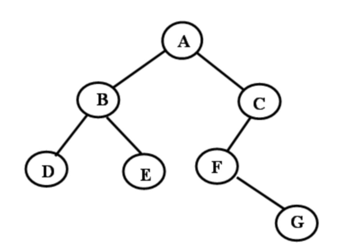 C数据结构与算法笔记之实验八 二叉树构造及遍历bitree项目的main函数中将第4小题的带号的前序遍历序列作为数组a 的值 Csdn博客