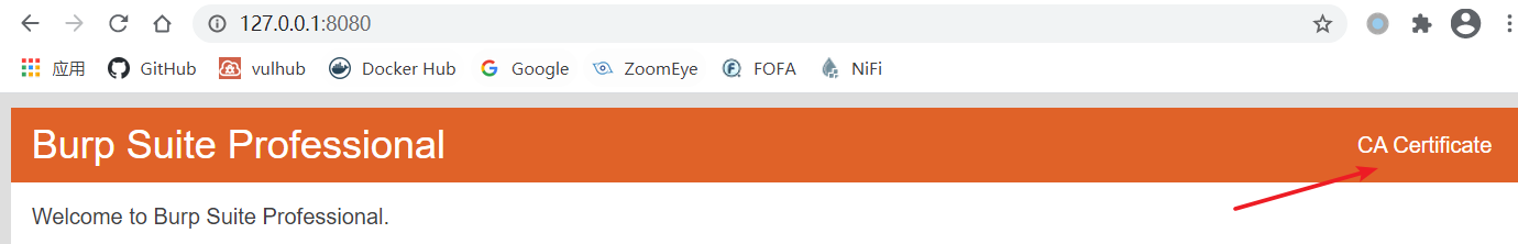Firefox与Chrome浏览器导入burpsuite证书_谷歌浏览器导入burpsuite证书-CSDN博客