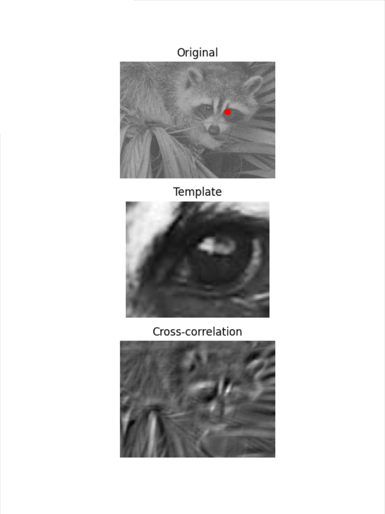 python画图fig.show()一闪而过的解决方法-CSDN博客