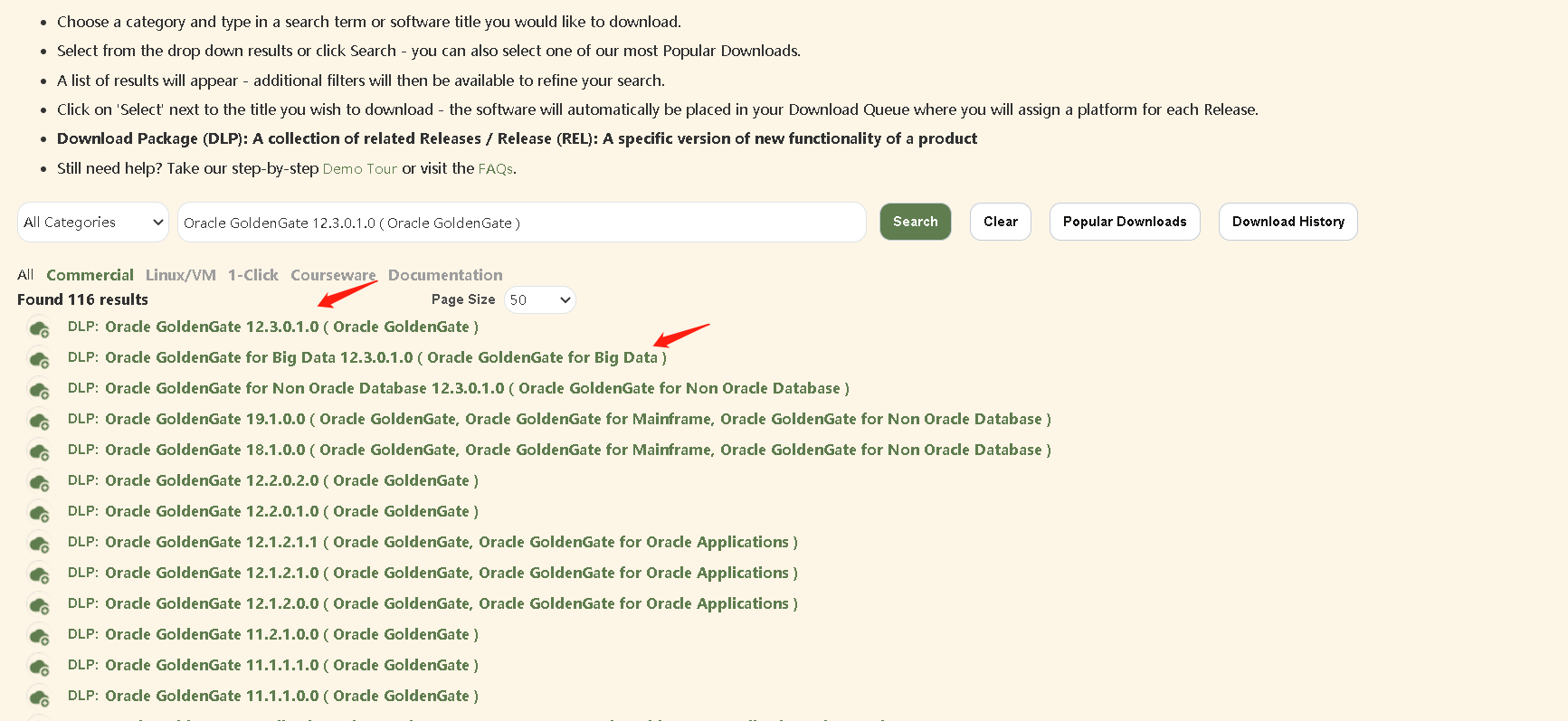 利用ogg实现oracle到kafka的增量数据实时同步11g最新版_sourcedefs可以是json文件吗-CSDN博客