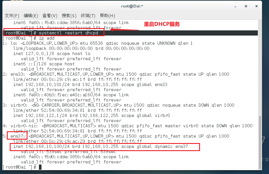 CentOS 7简单DHCP配置_centos7 dhcp-CSDN博客