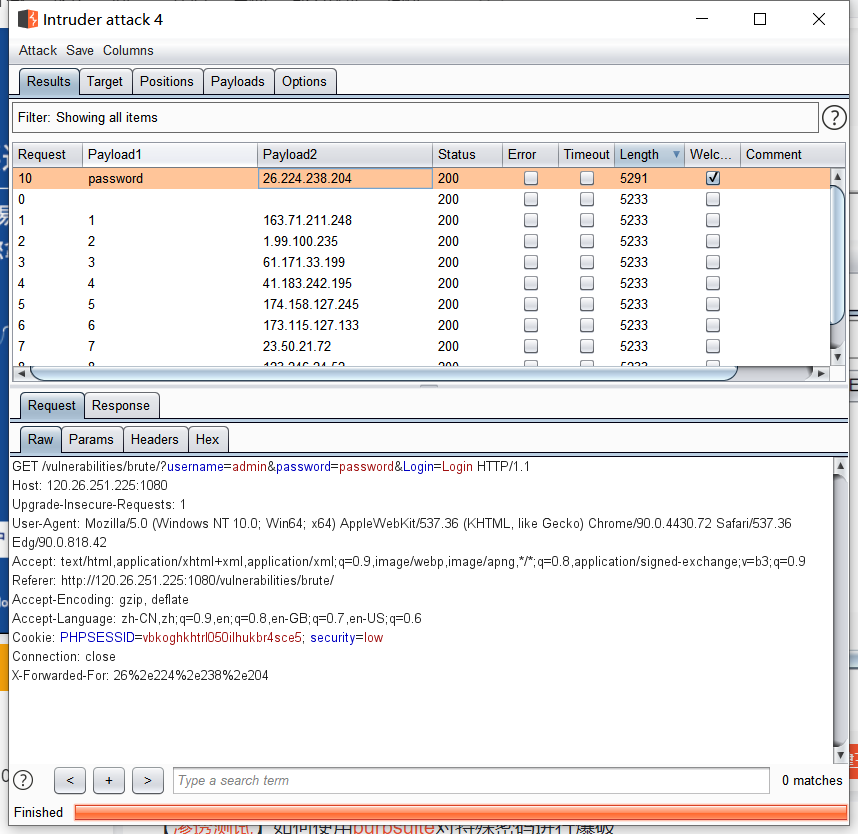 burpsuite插件——BurpFakeIP-CSDN博客