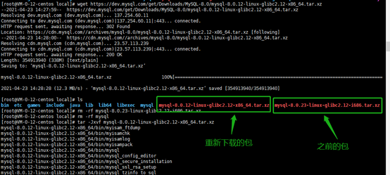 Bash Mysqld No Such File Or Directory Csdn博客 