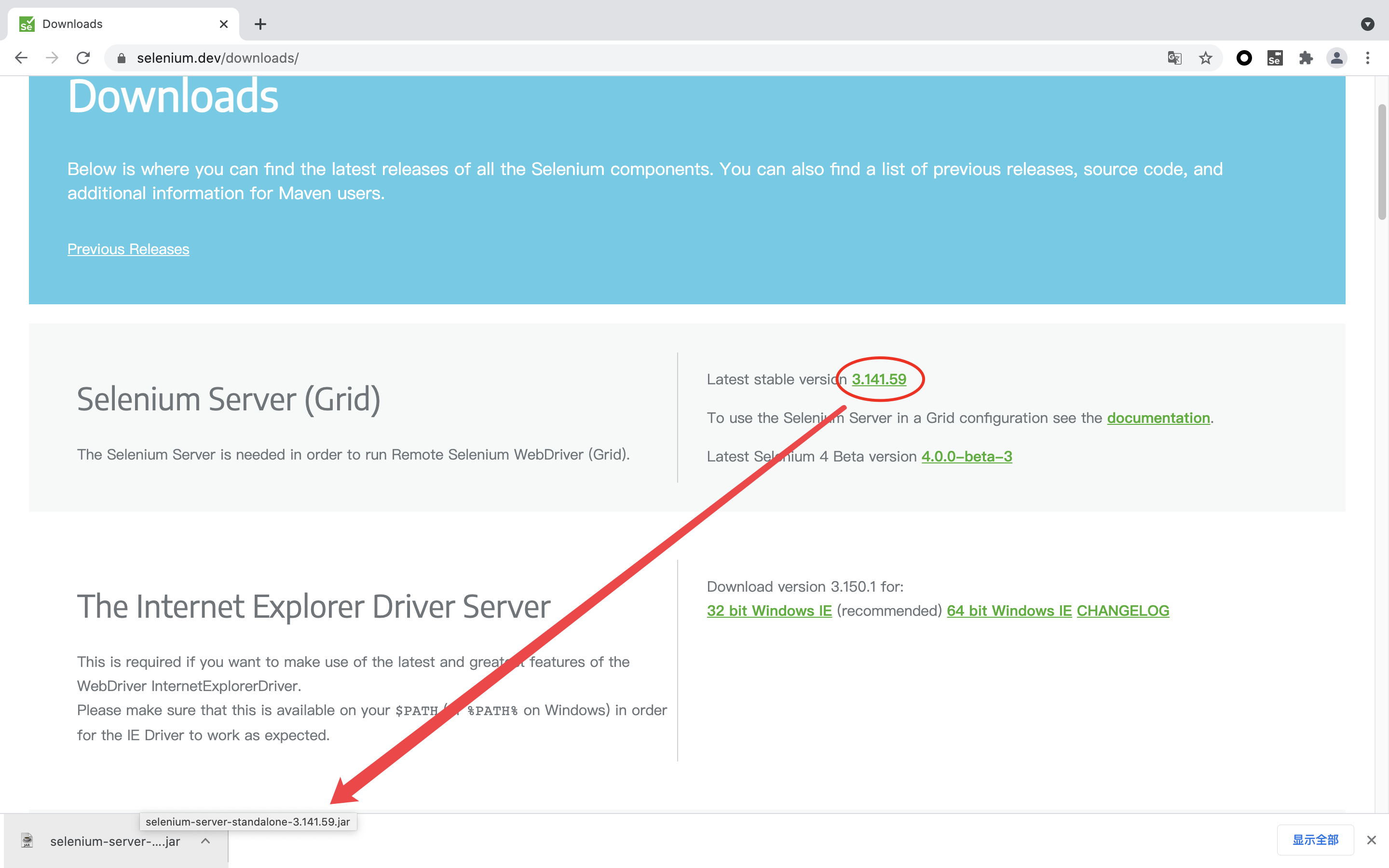 【Selenium Grid 分布式测试】Selenium Grid下载安装_seleniumgrid下载-CSDN博客