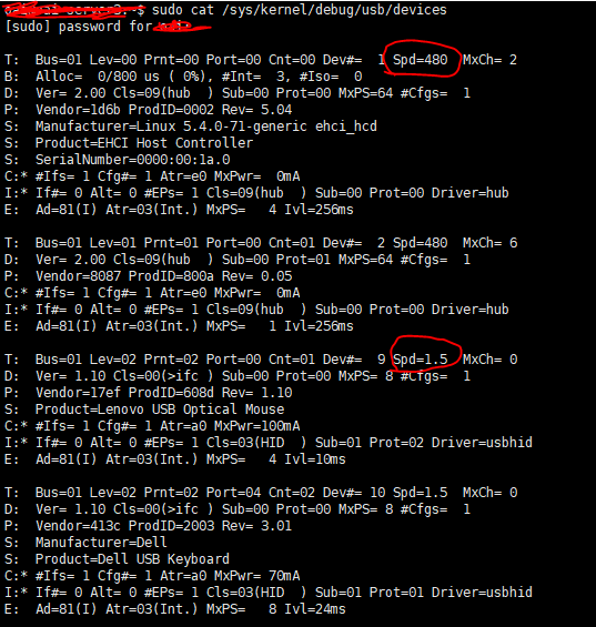 linux查看usb速度命令_linux 查看usb3.0 速率-CSDN博客