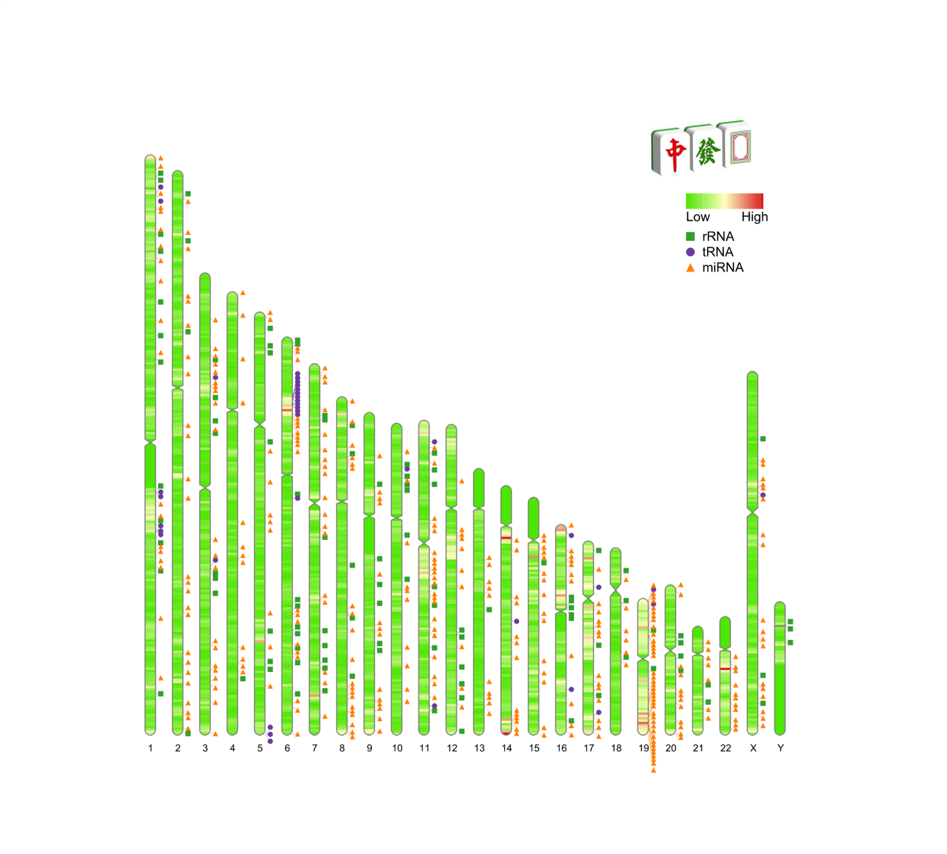 RIdeogram 染色体图谱可视化R包-CSDN博客