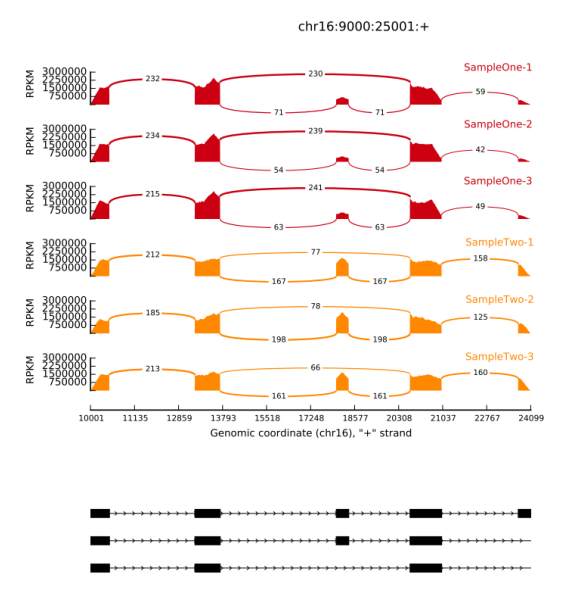 可变剪切（选择性剪接）rmats2sashimiplot可视化安装与使用-CSDN博客