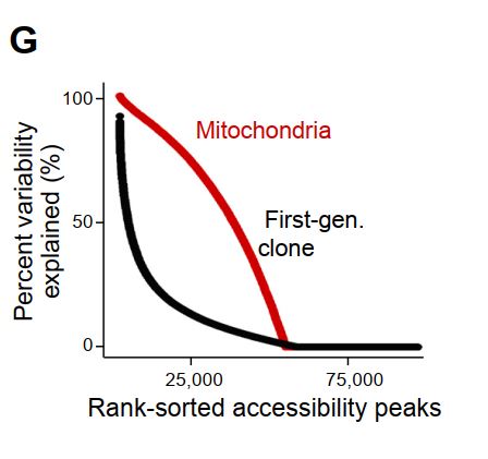 文献阅读 | 利用体细胞的mtDNA的突变追踪细胞的分化命运_使用遗传手段对表达特定标记基因的祖细胞亚群进行标记-CSDN博客